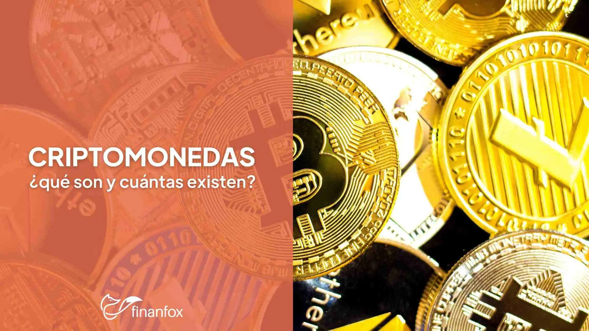Criptomonedas: ¿qué son? y ¿cuántas criptomonedas existen? | Finanfox